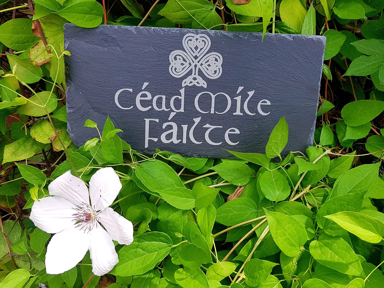 Cead Mile Failte Slate Door Hanger Irish Welcome Door Sign - Etsy