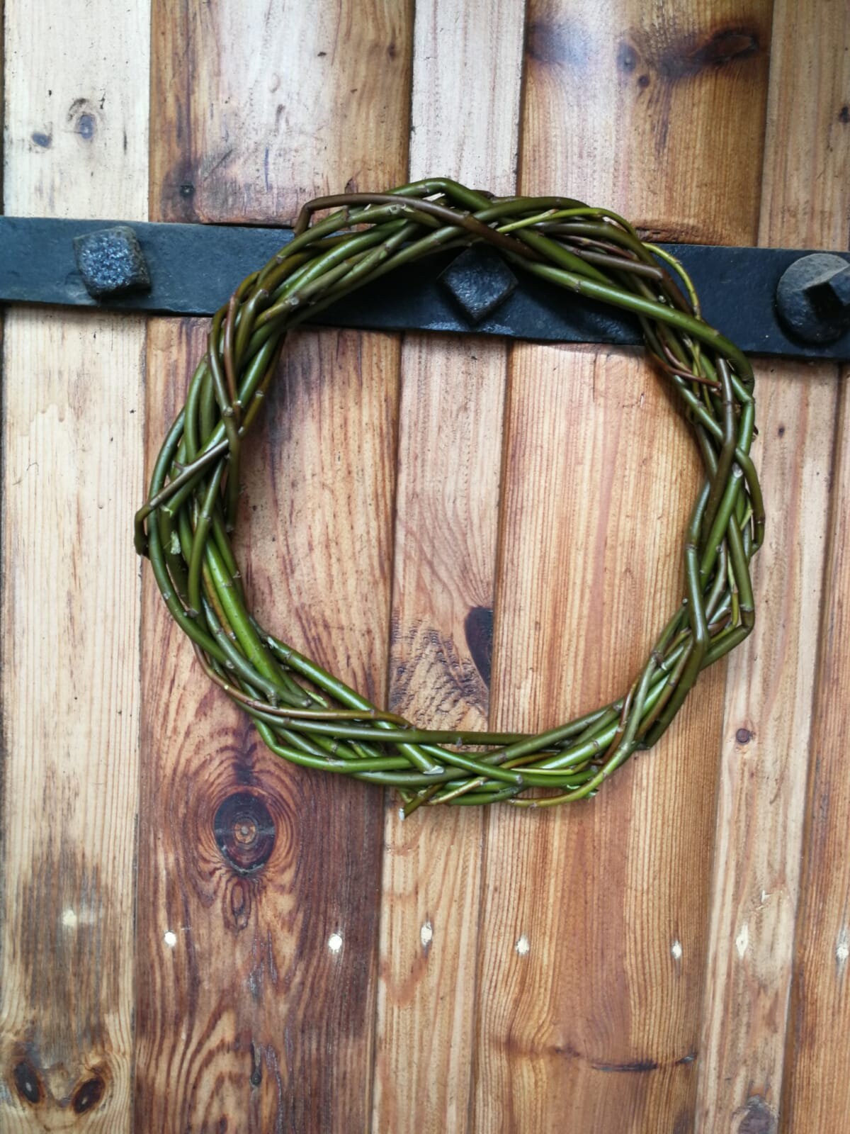 Green Willow Twig Wreath, Spring Front Door Wreath, Green Twig Hoop ...