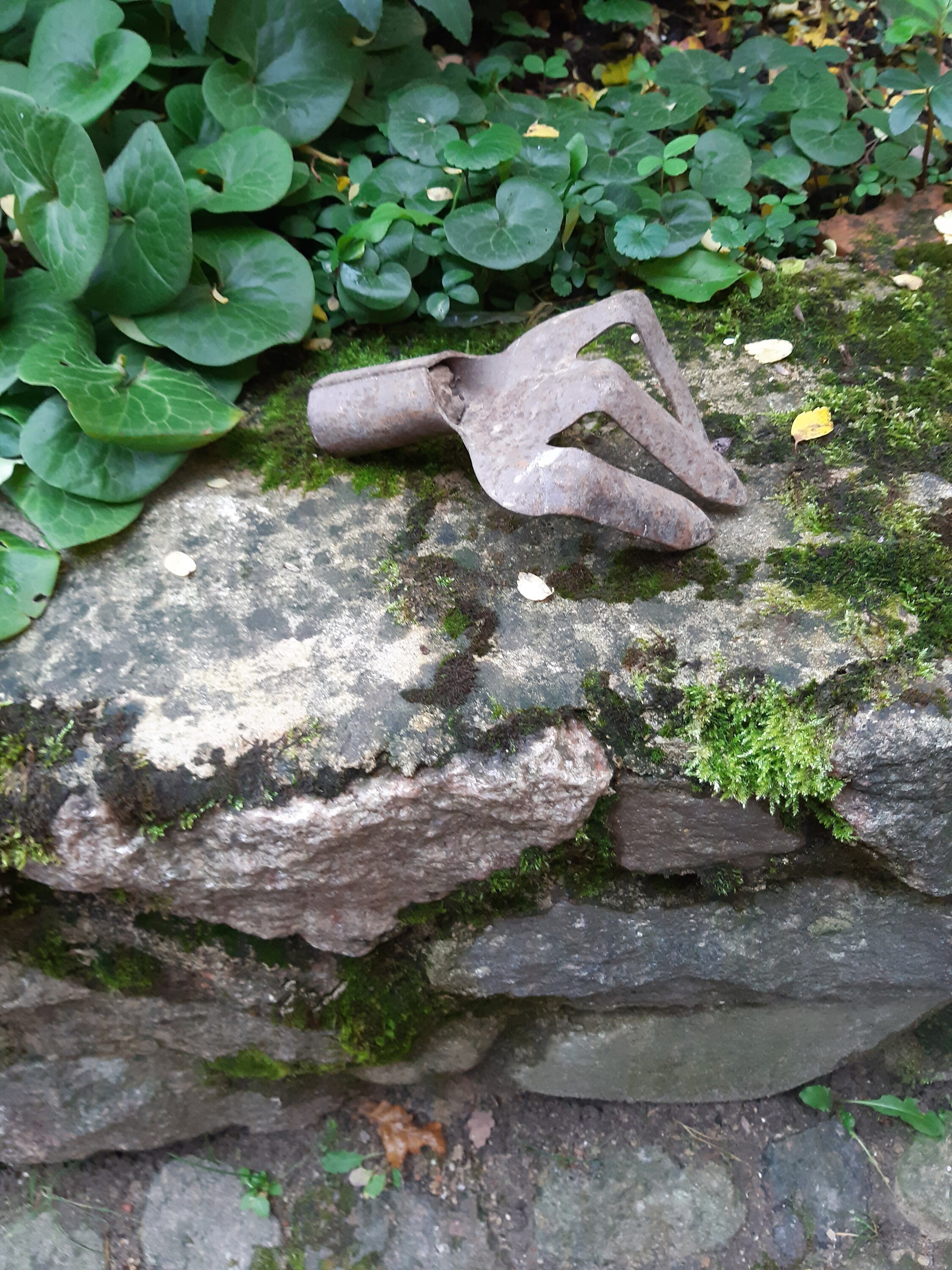 Vintage Primitive Iron Hoe Head, Handheld Tool, Vintage Garden Decor ...