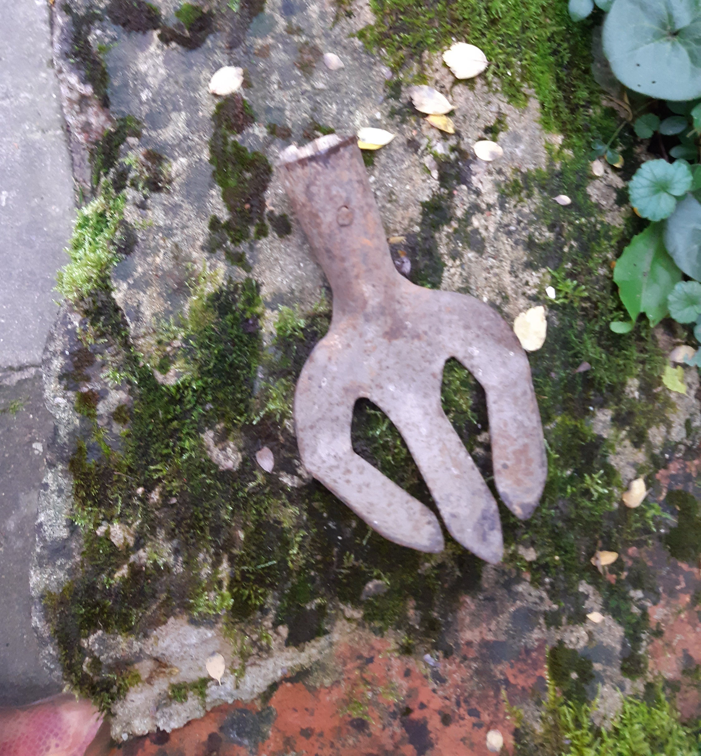 Vintage Primitive Iron Hoe Head, Handheld Tool, Vintage Garden Decor ...