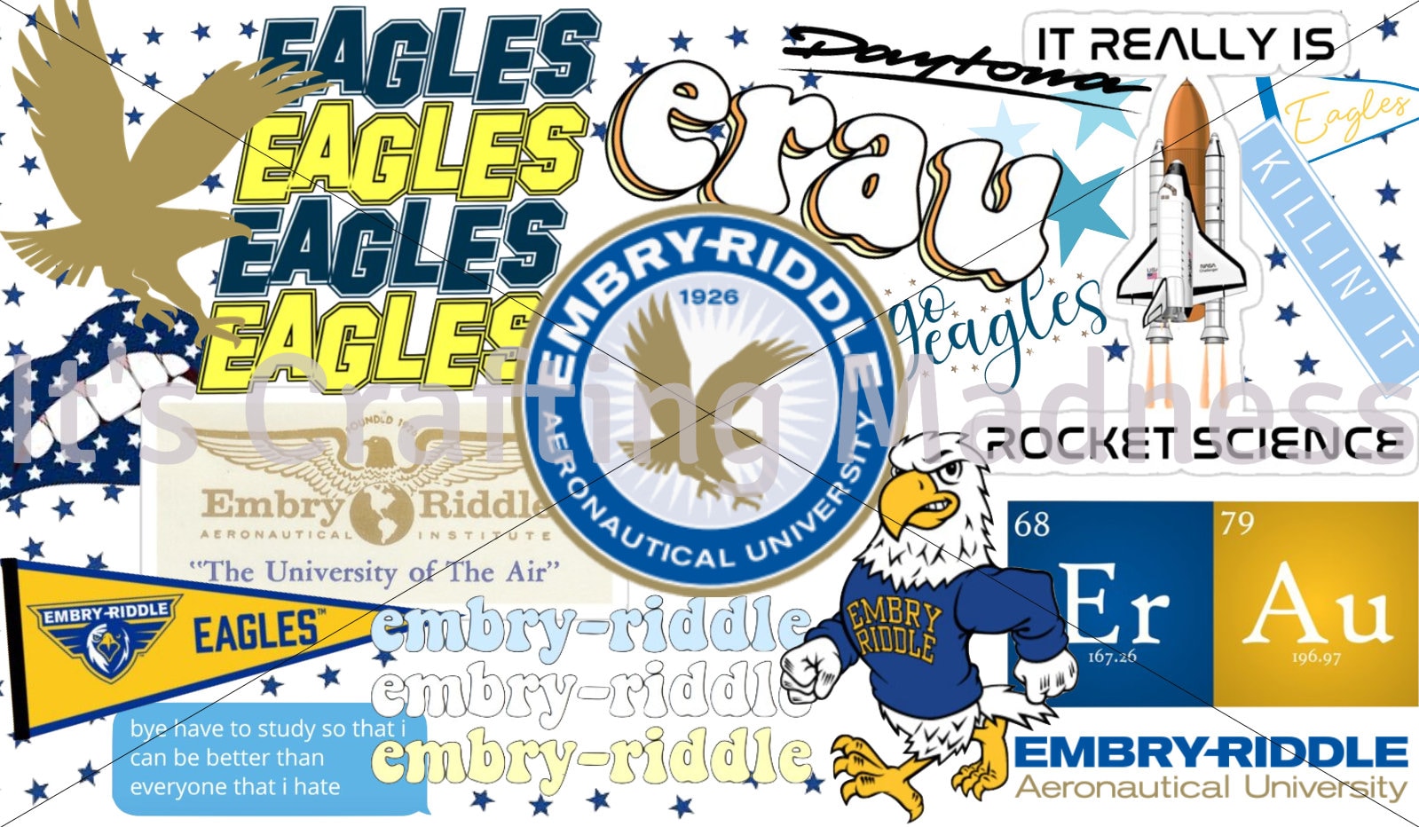 Embry Riddle Logo