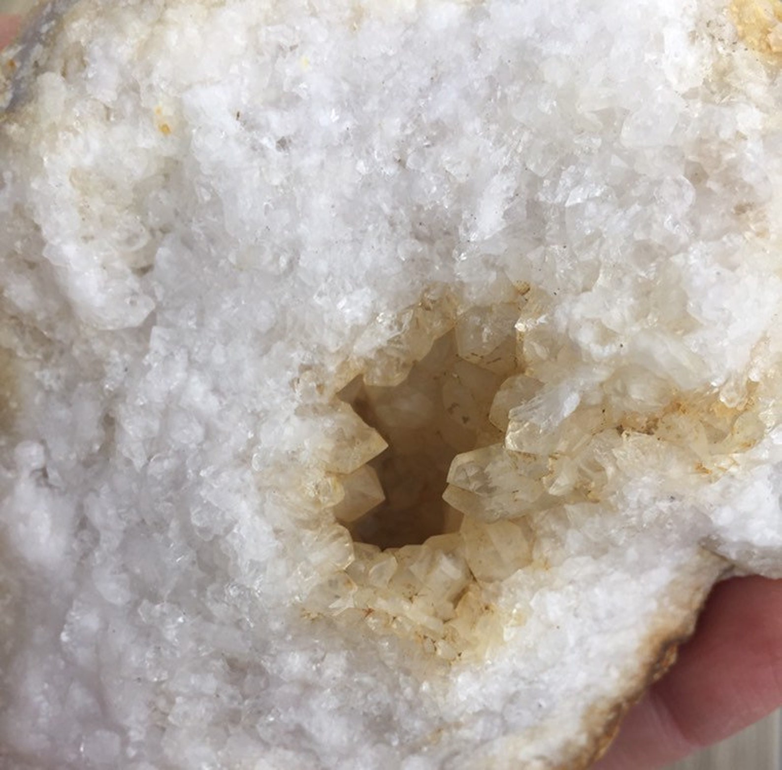 Natural Kentucky Geode Beautiful Yellow and Clear Quartz - Etsy