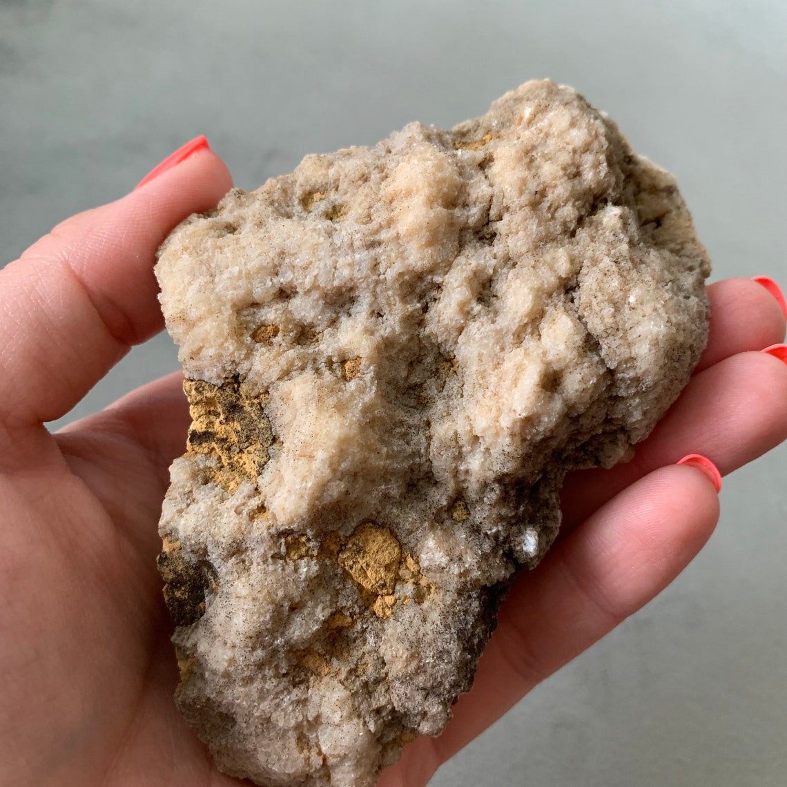 Natural Kentucky Geode Beautiful Quartz Crystal Geode 7.8 | Etsy