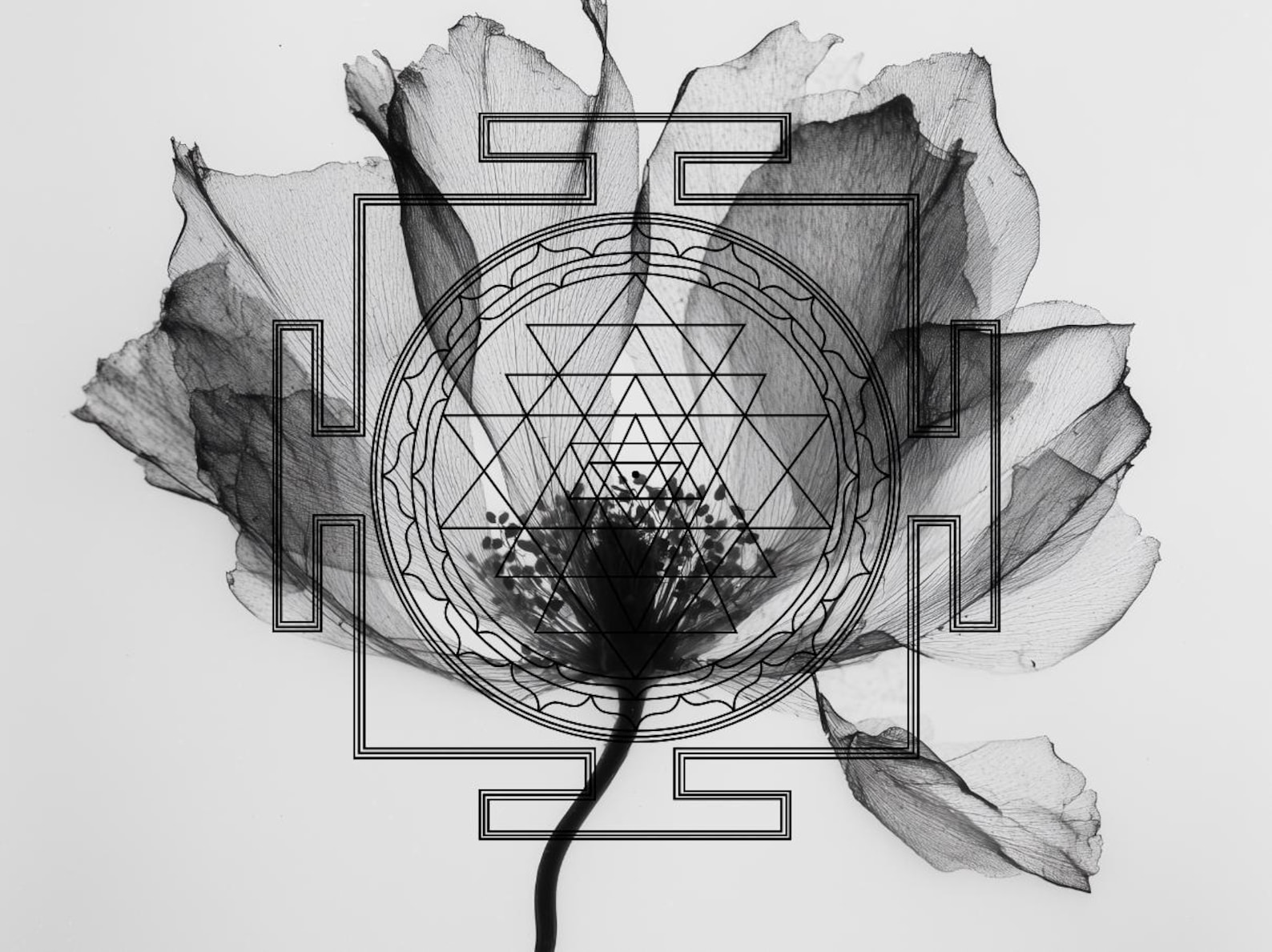 Sri Yantra SVG | One-line Sacred Geometry Vector - Etsy