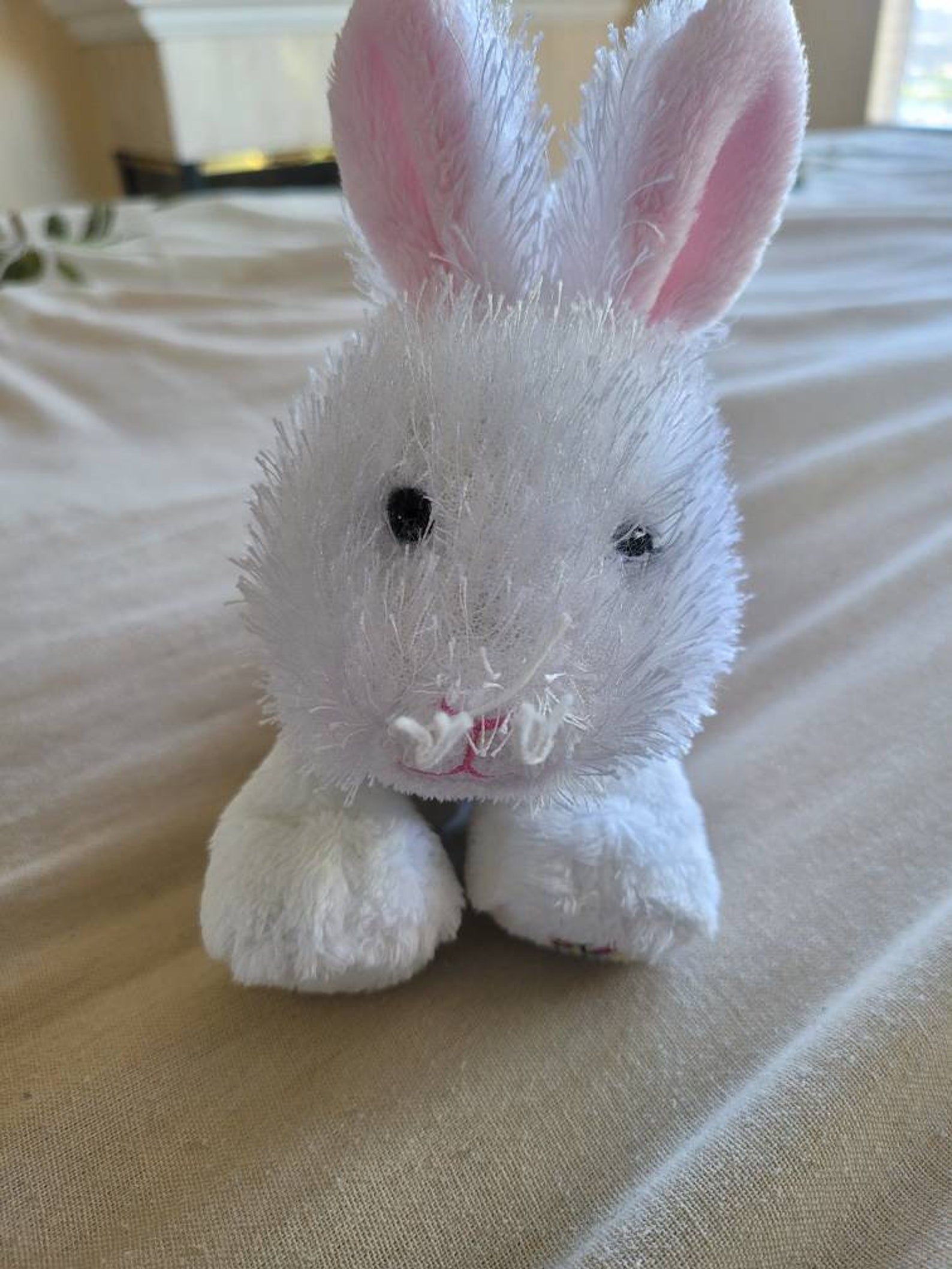 Webkinz Collecter. Lil-kinz Rabbit - Etsy