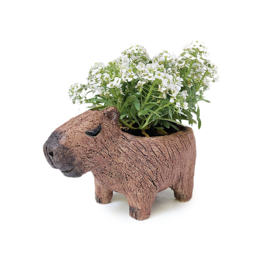 Capibara Small Ceramic Flower Pot / Bowl / Capibara Flower - Etsy