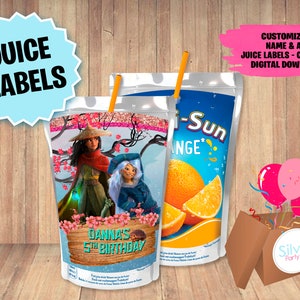 Raya and the Last Dragon Party Pack Chip Bag Favor Bag Juice Water ...