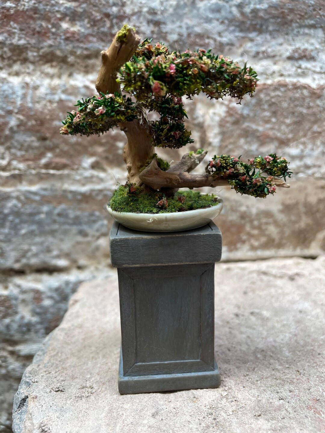 12th Scale Bonsai on Plynth - Etsy