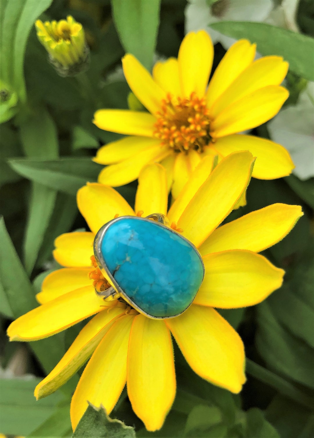 Genuine Water Web Turquoise Ring - Etsy