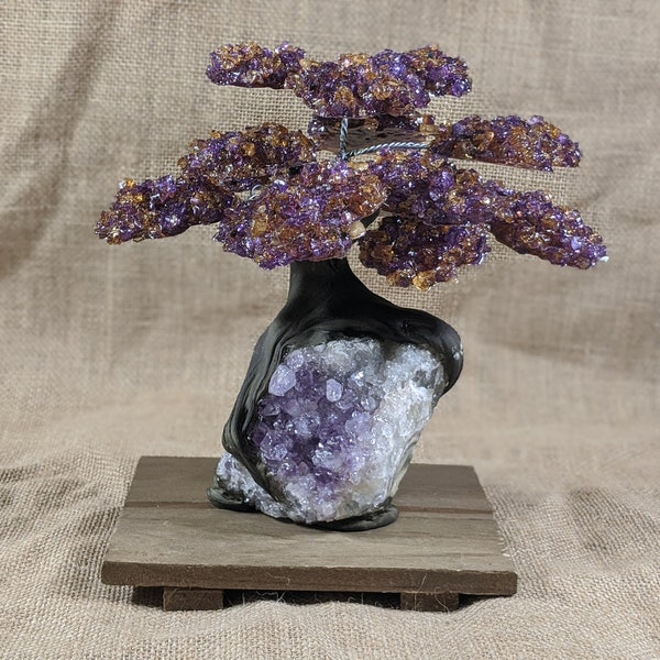 Amethyst Money Tree - Etsy