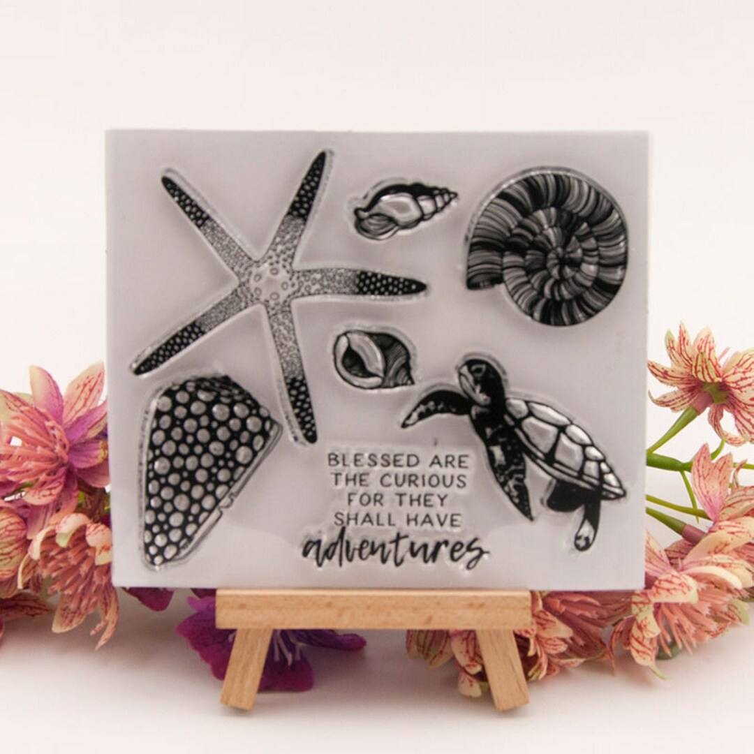 Conch Starfish Sea Turtles Stamp Set Clear Rubbe Stamps for - Etsy