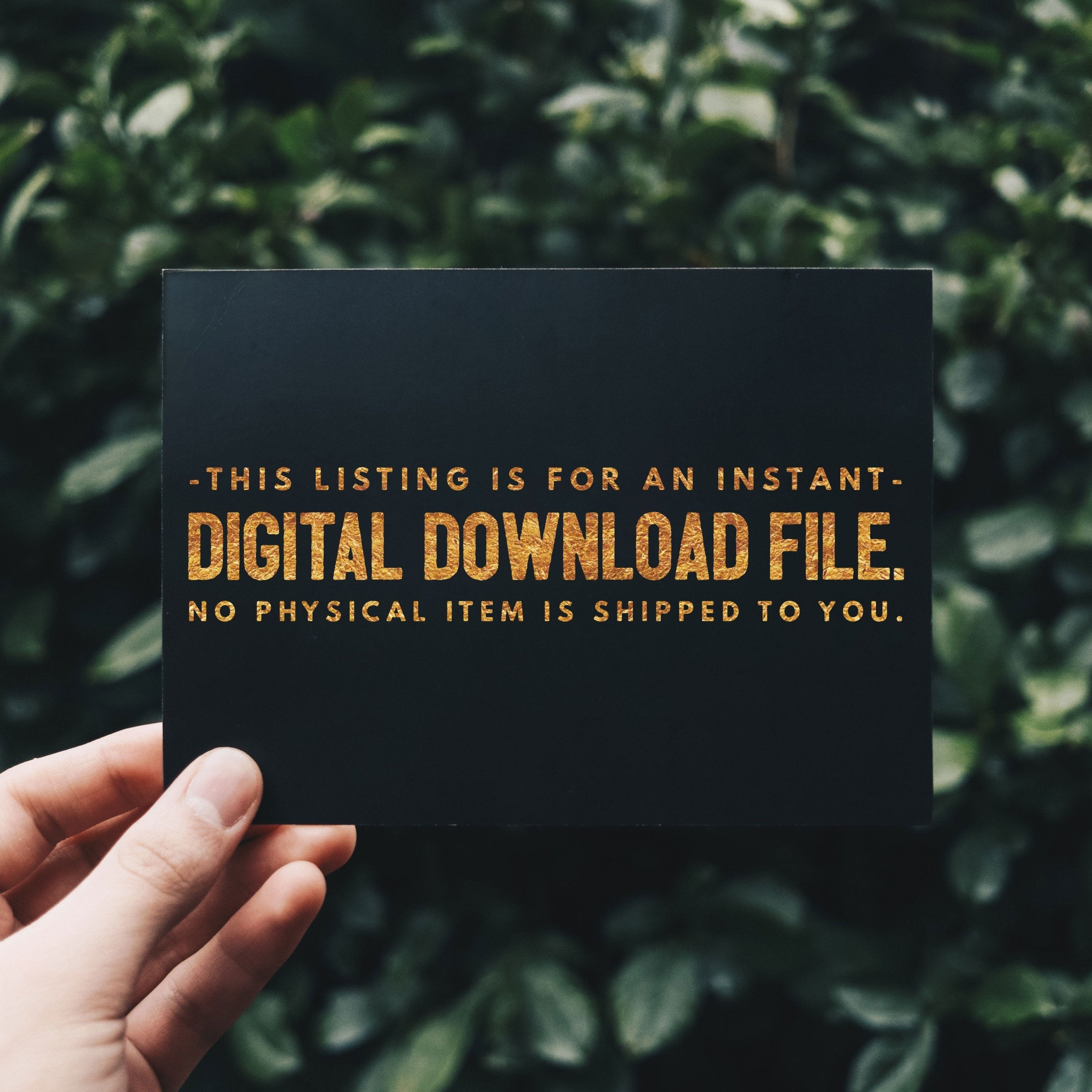 Art Label Description Display Card Templates for Professional Artists ...