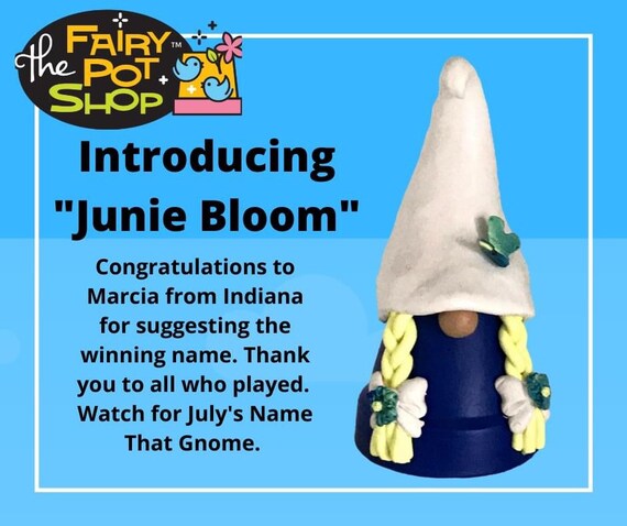 Special Characters - The Fairy Pot Shop