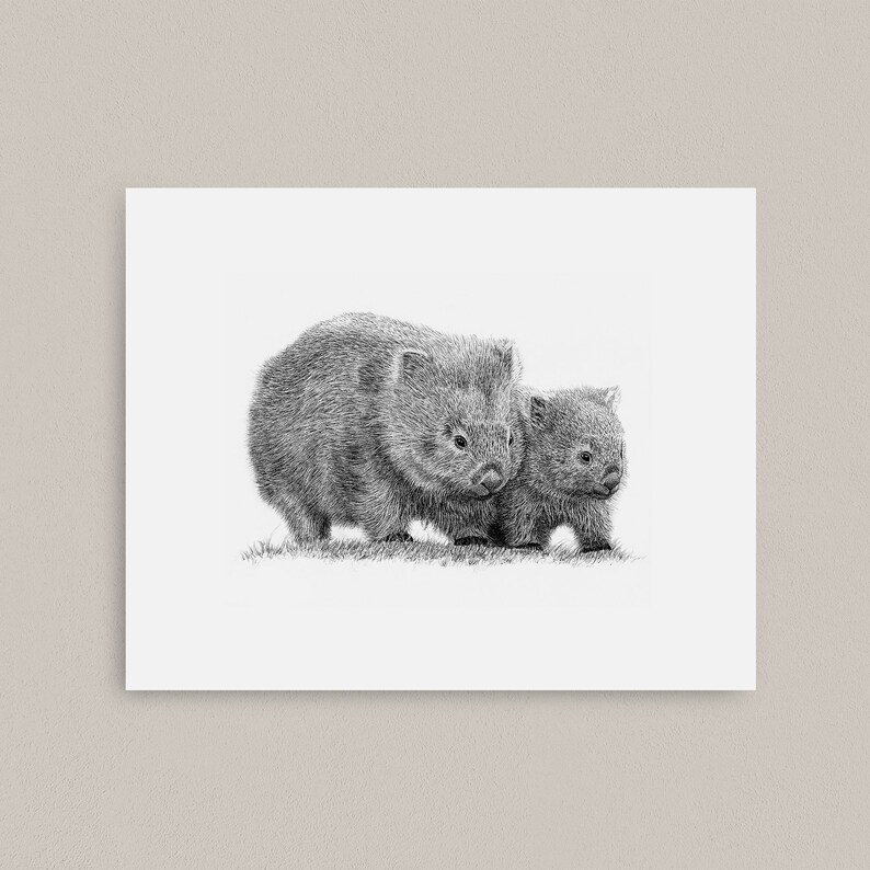Art Print, 'wombat Wamble', Wombats, Maria Island, Tasmanian Marsupials ...