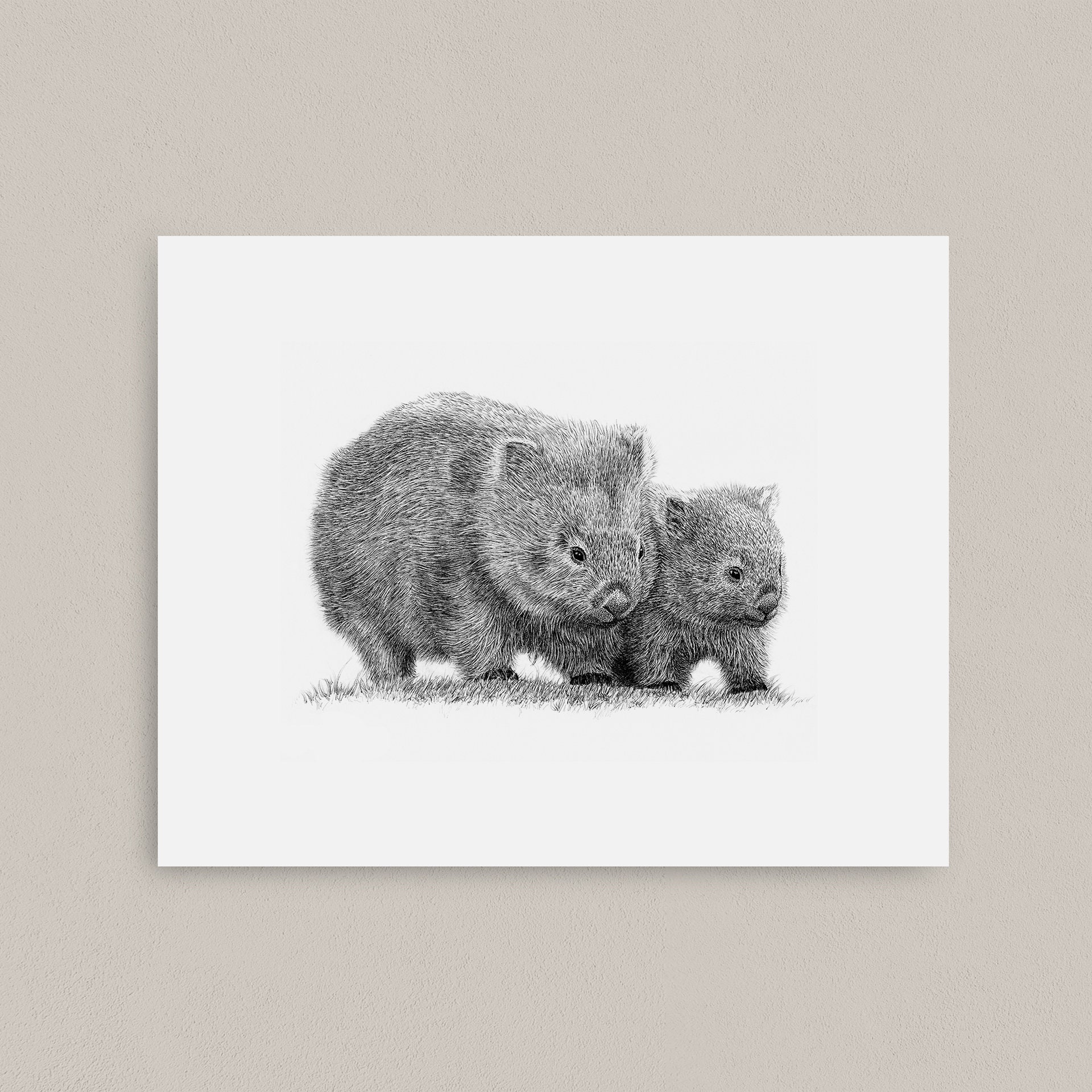 Art Print, 'wombat Wamble', Wombats, Maria Island, Tasmanian Marsupials ...