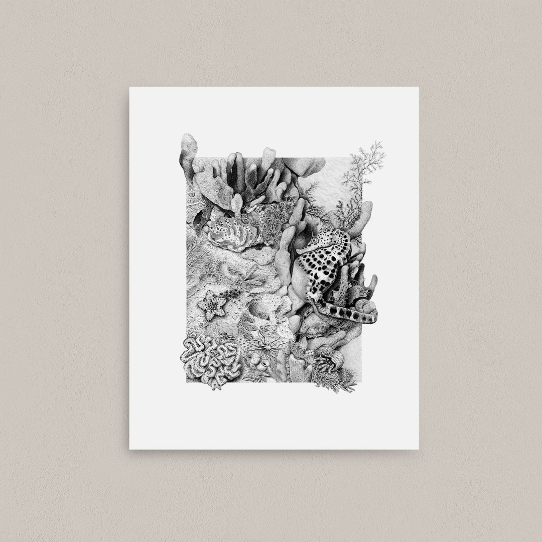 Art Print, 'the Other Reef', the Great Southern Reef, Underwater Diving ...