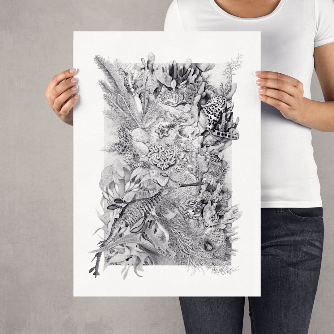 Art Print, 'the Other Reef', Great Southern Reef, Underwater Diving ...
