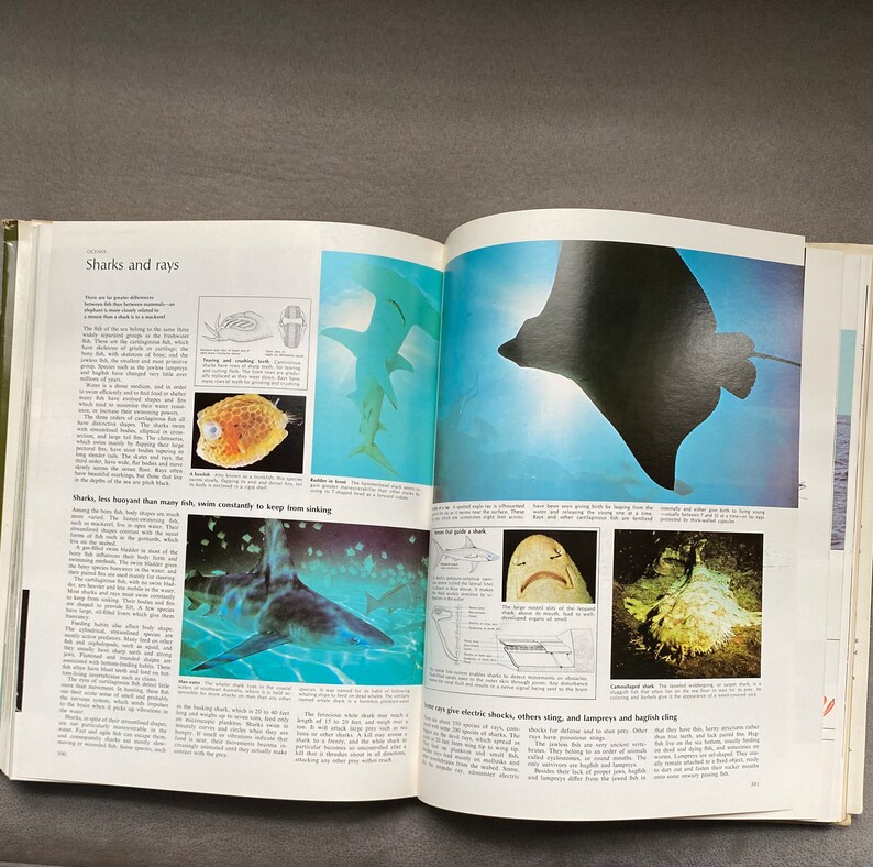 Vintage Book-fascinating World of Animals-reader's - Etsy