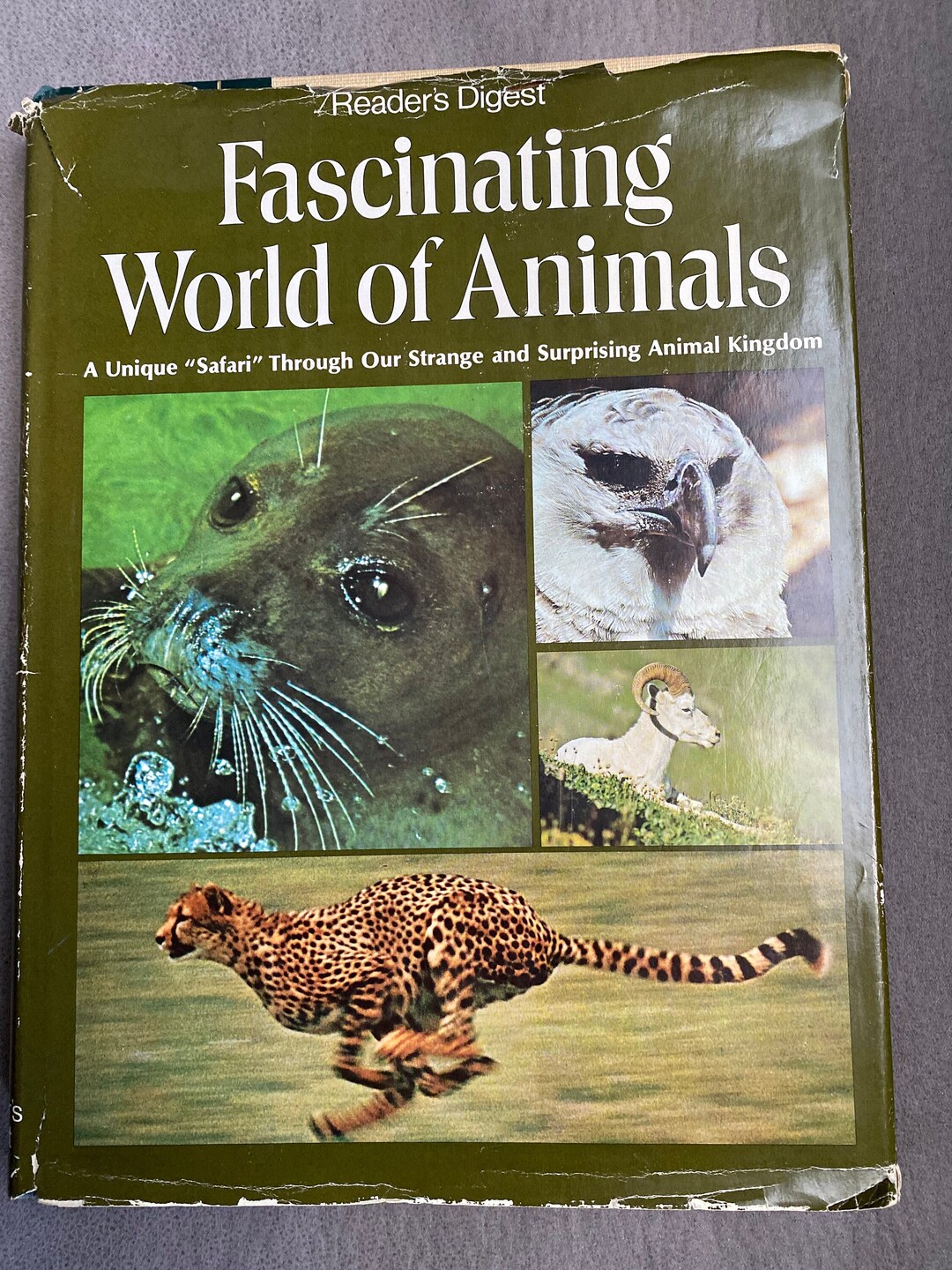 Vintage Book-fascinating World of Animals-reader's - Etsy