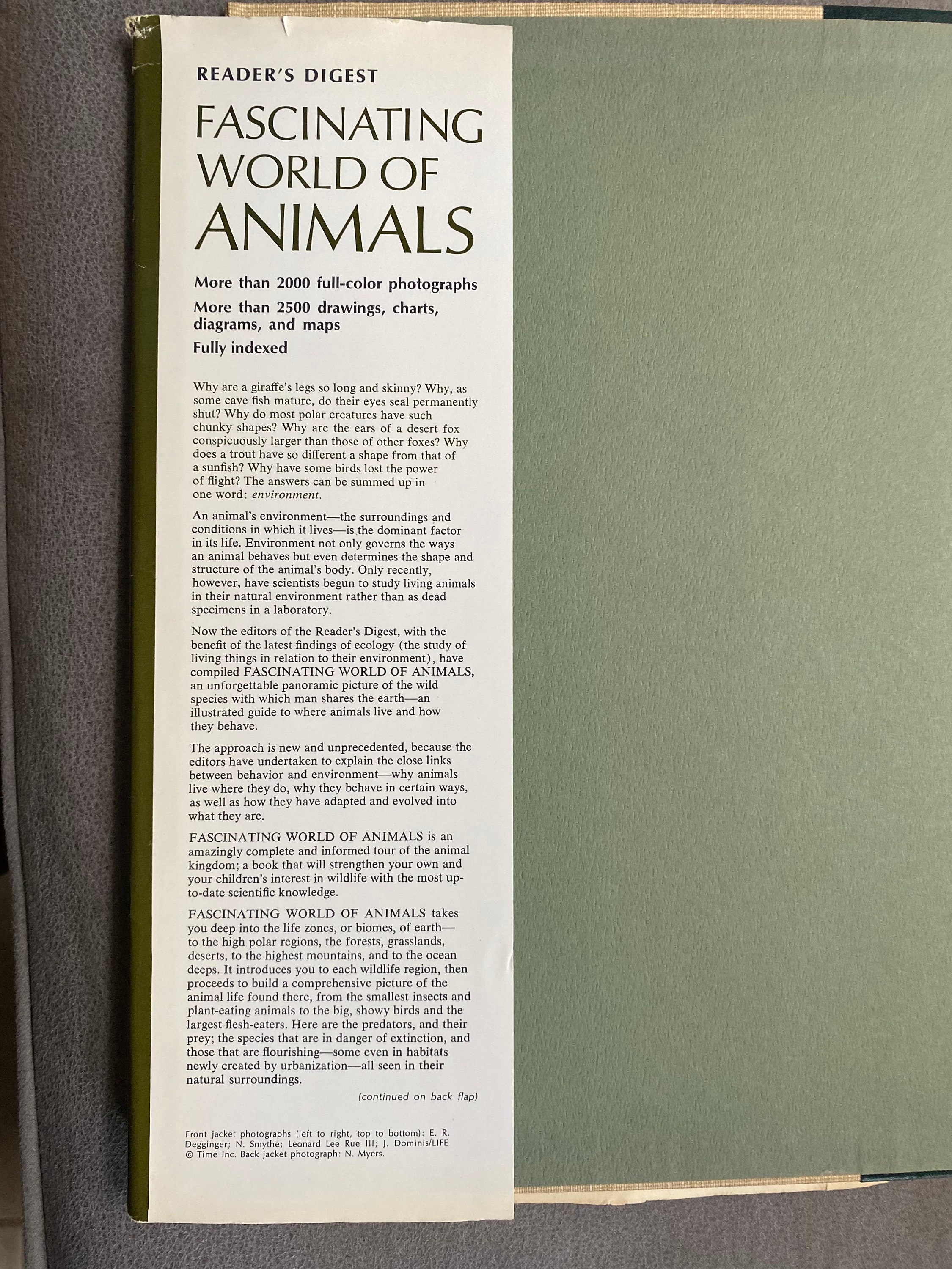 Vintage Book-fascinating World of Animals-reader's Digest-oversize ...