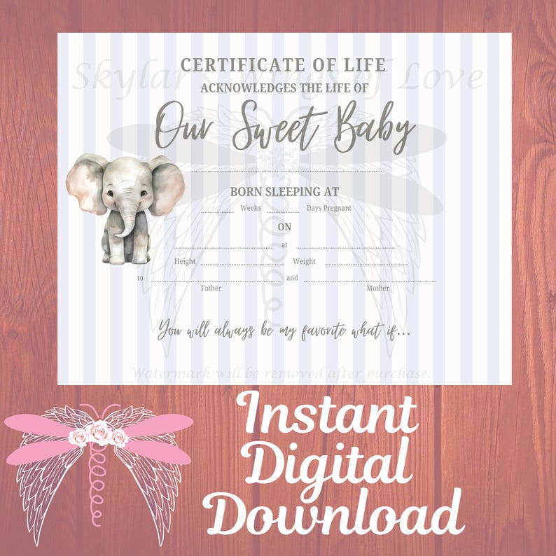 Certificate of Life - Elephant Boy - PDF - Digital Download ...
