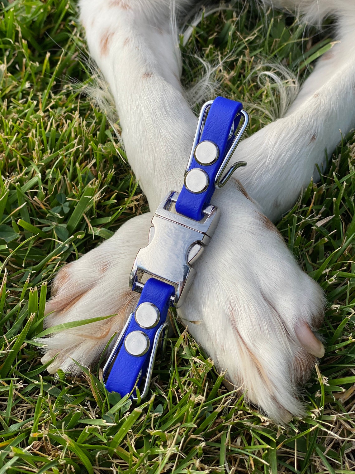 2.25mm Quick Release Buckle Attachment ONLY | Etsy