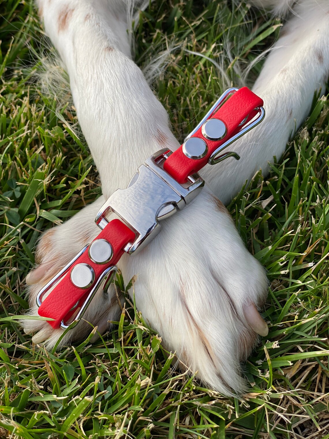 2.25mm Quick Release Buckle Attachment ONLY | Etsy