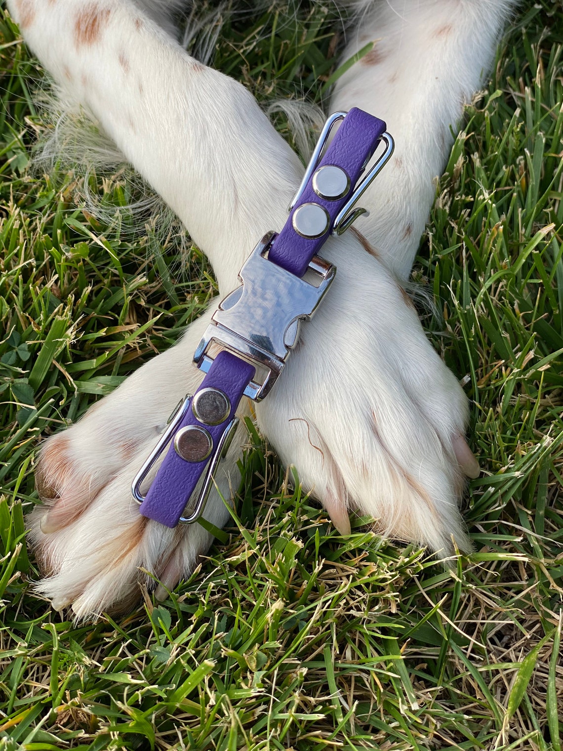 2.25mm Quick Release Buckle Attachment ONLY | Etsy