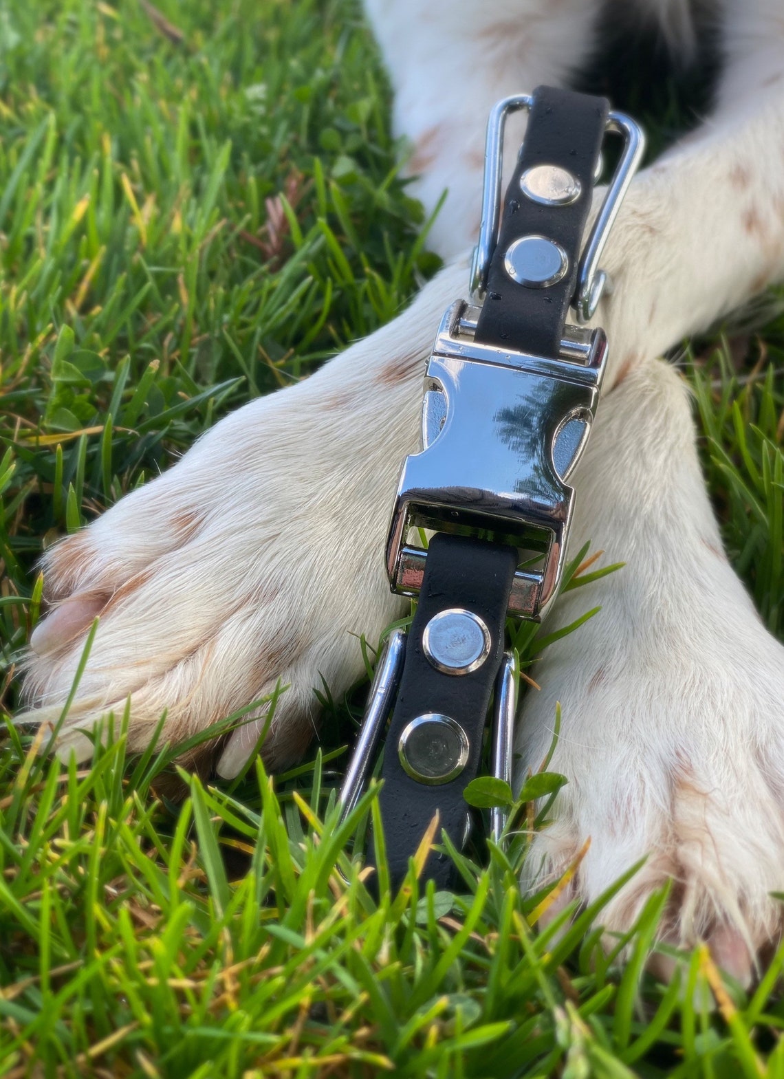 3.0mm Quick Release Buckle Attachment ONLY - Etsy