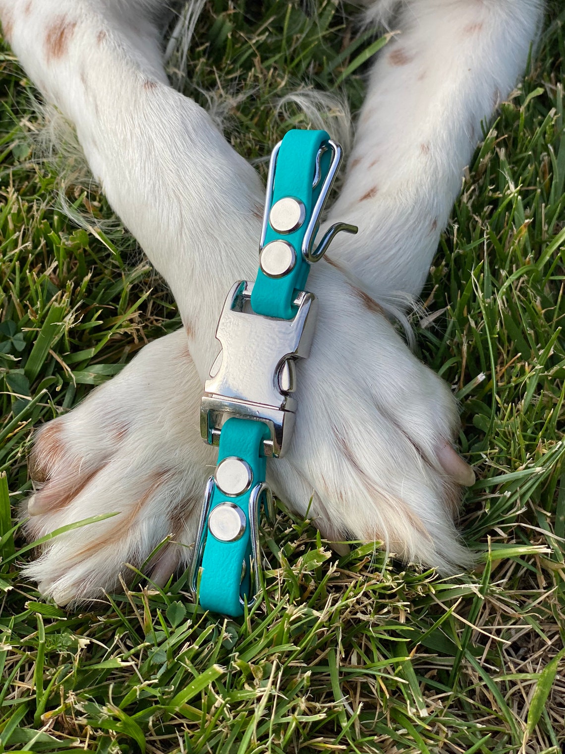 2.25mm Quick Release Buckle Attachment ONLY | Etsy