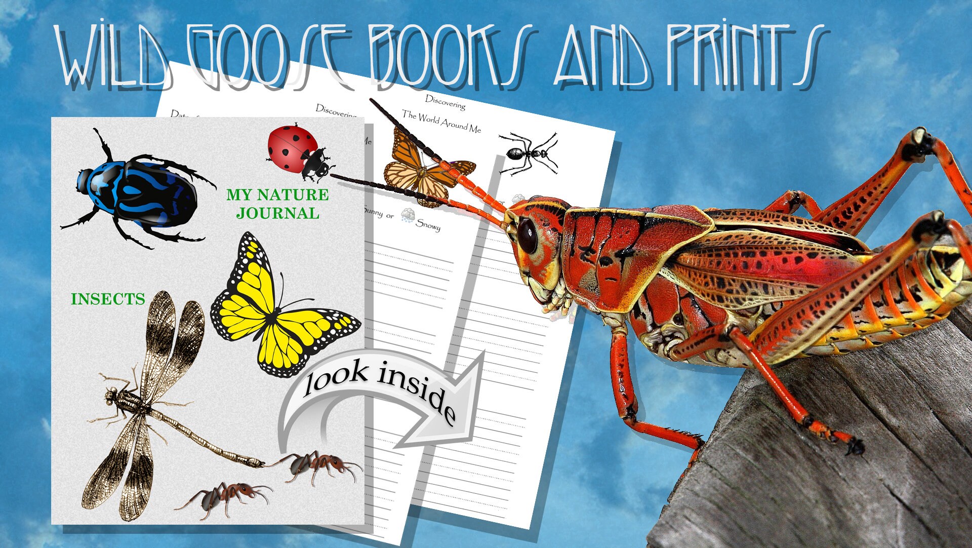 Insects Journal