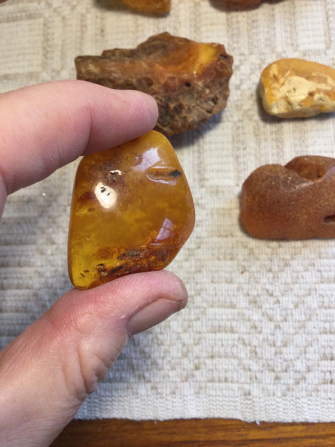 Raw Amber Chunks Fossilized Tree Sap Collector Item Jewelry | Etsy