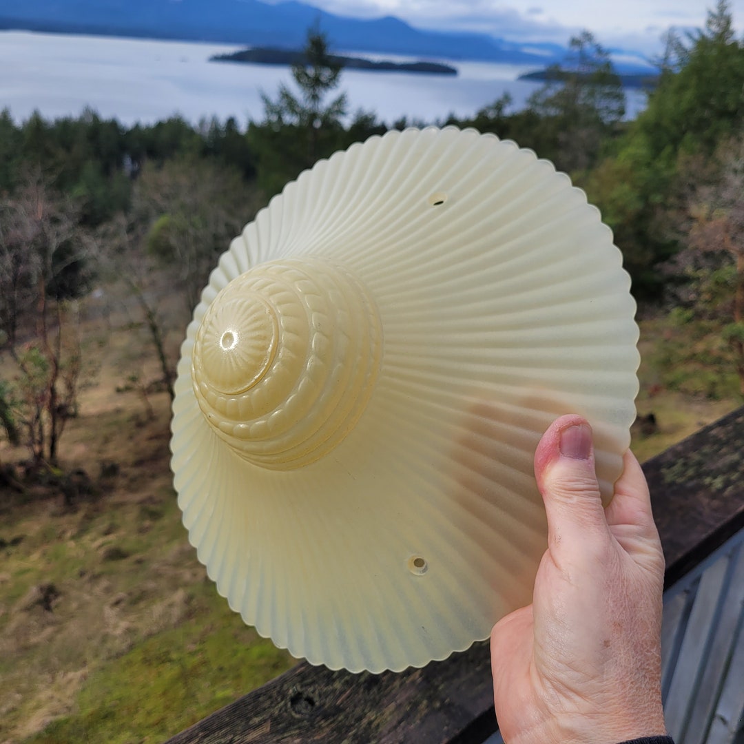 Three Chain Light Fixture, Glass Replacement Shade, Round, Vintage ...