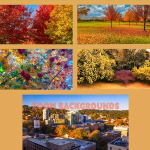 Autumn Zoom Backgrounds - Etsy