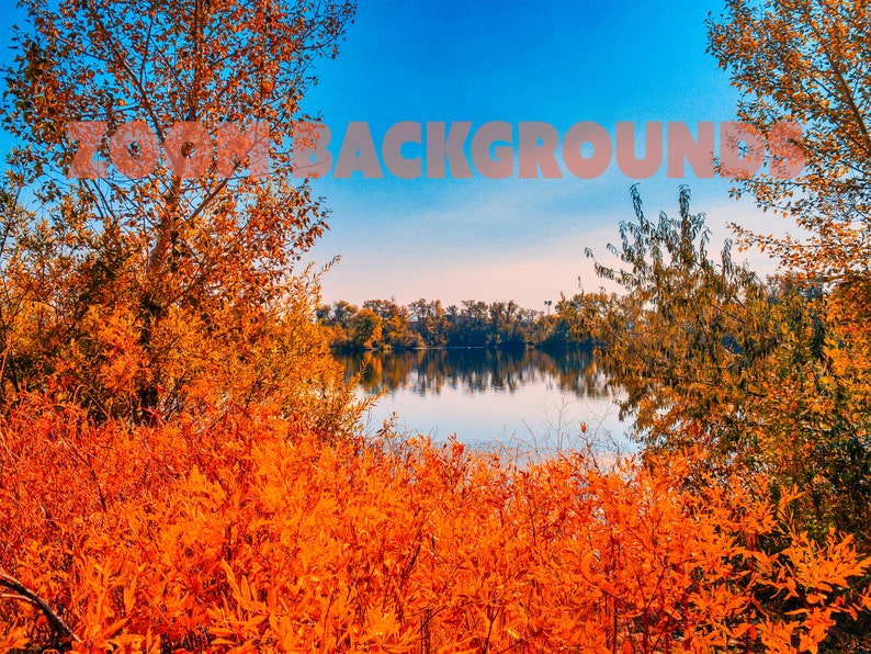 More Autumn Zoom Backgrounds - Etsy