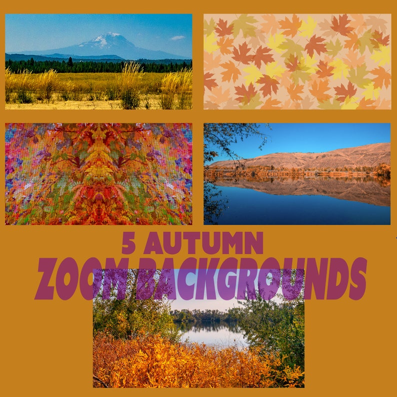 More Autumn Zoom Backgrounds - Etsy