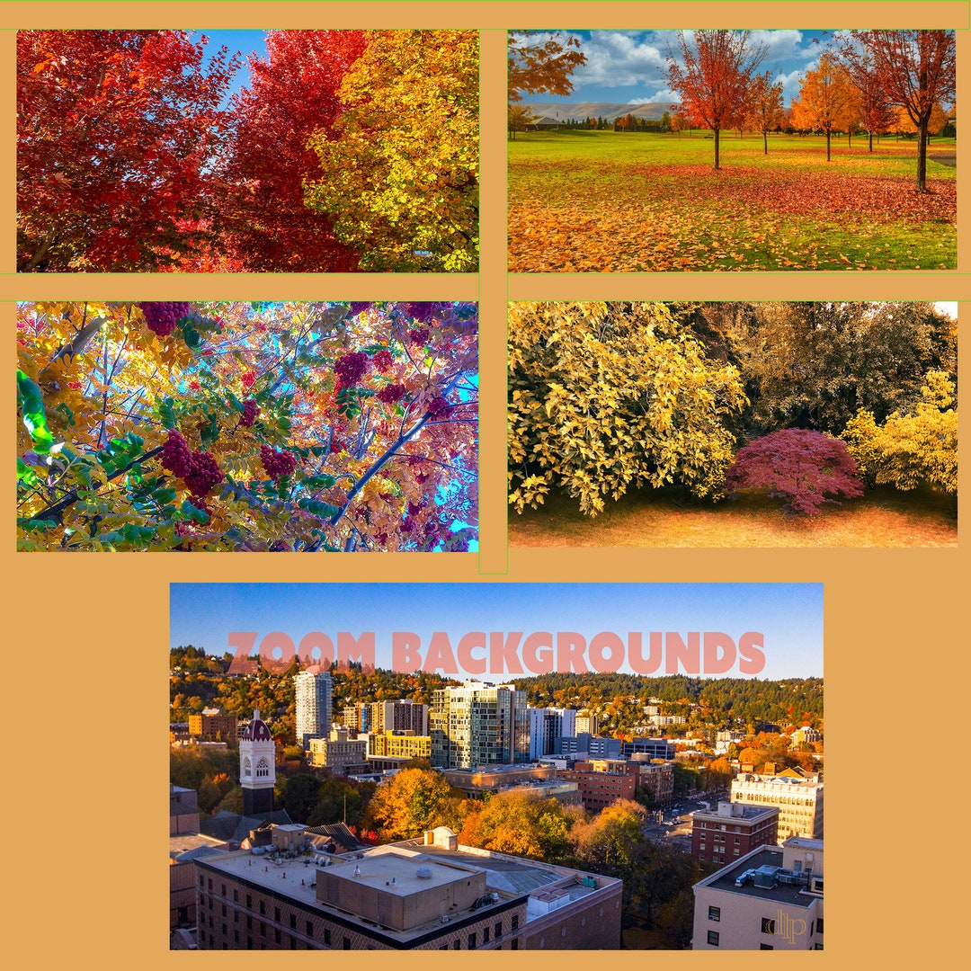 Autumn Zoom Backgrounds - Etsy