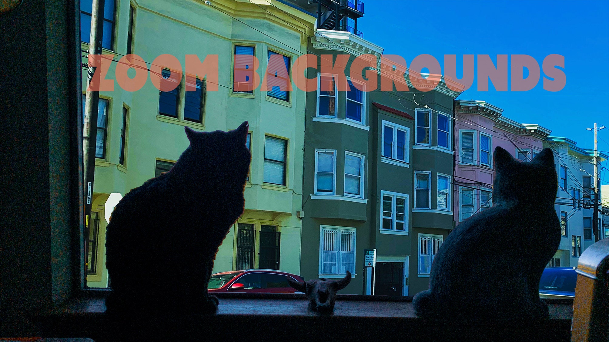 Zoom Backgrounds With Cats in the Window - Etsy