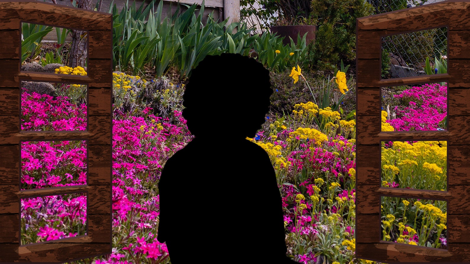 Out of My Window Zoom Backgrounds - Etsy