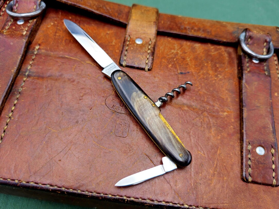 Vintage Solingen German Gentleman's Tool With Buffalo Horn Handle 83 Mm ...