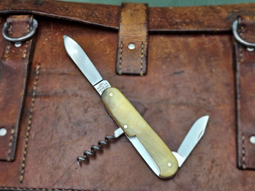 Victoria Victorinox Gourmet With Buffalo Horn Scales Exposed Rivets ...