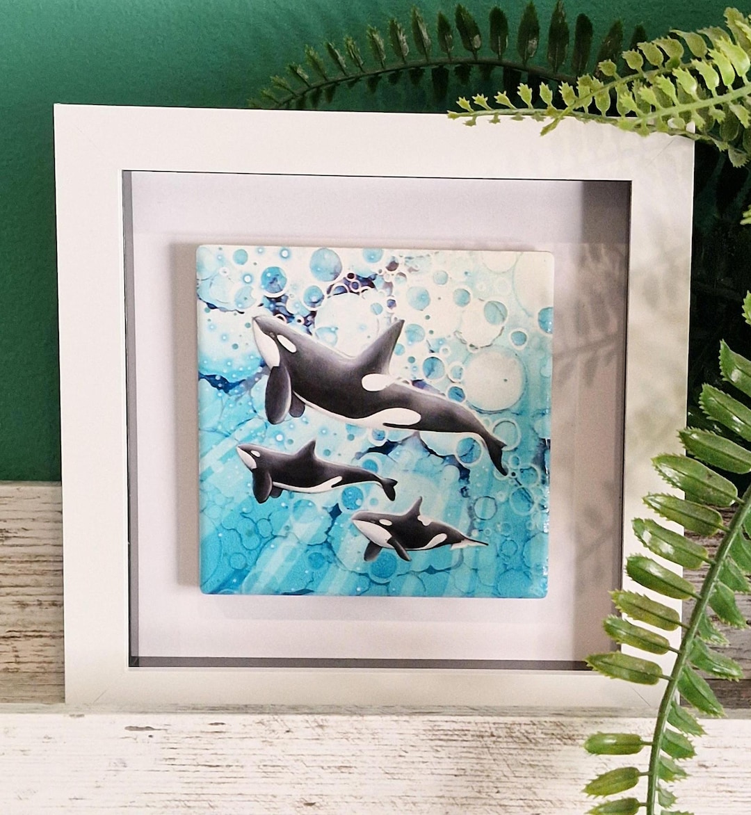 Killer Whale Wall Art Mini Framed Art Housewarming Birthday Gift Home ...