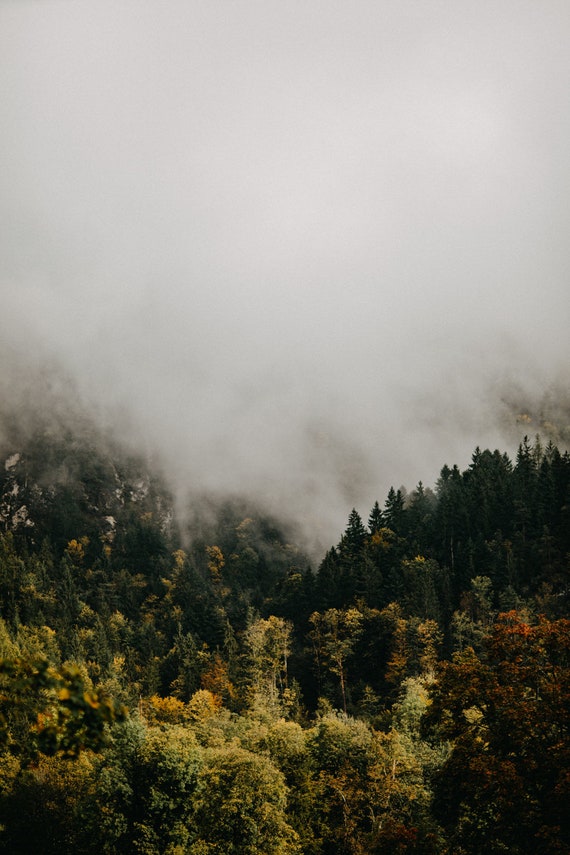 Download Pack 10 Low-resolution Images of Nature | Etsy