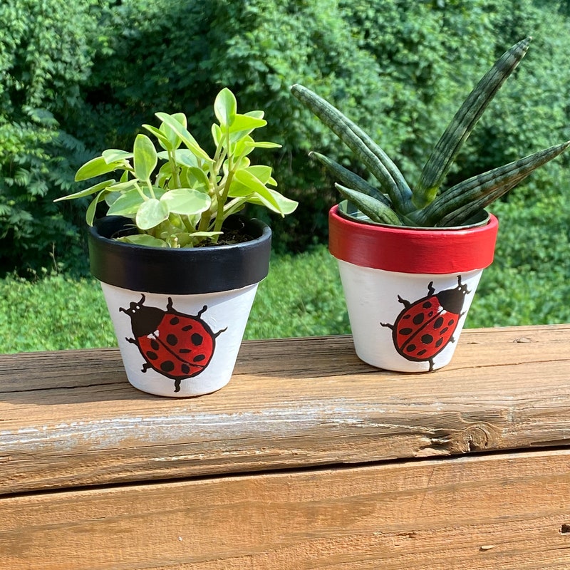 Ladybug Planters - Etsy