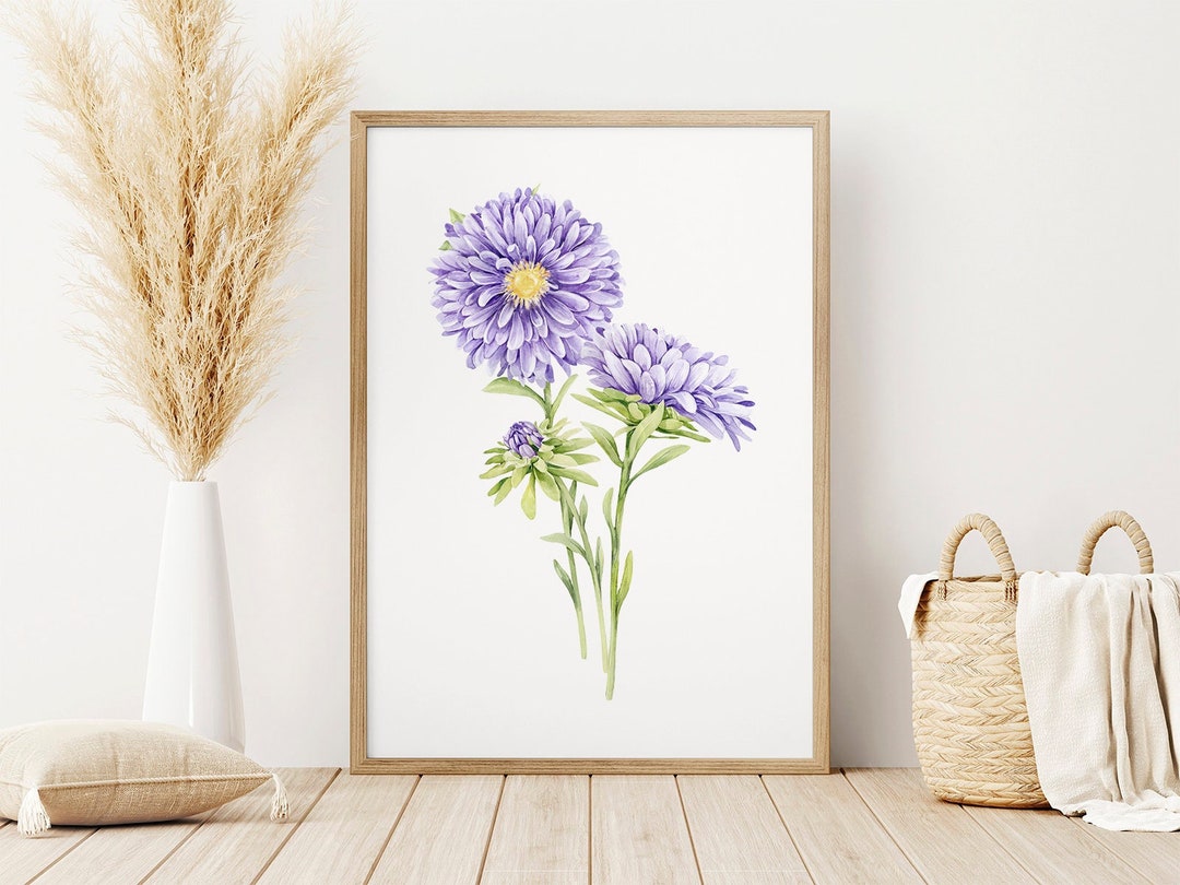 Aster / September Flower / Birth Flower Watercolor / Instant Download ...