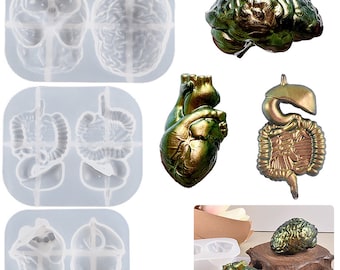 3d Organ Silicone Mold - Etsy