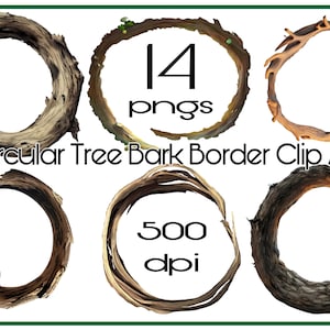 Circle Frames Png, Border Clipart, Twisted Tree Branch Border, Elegant ...