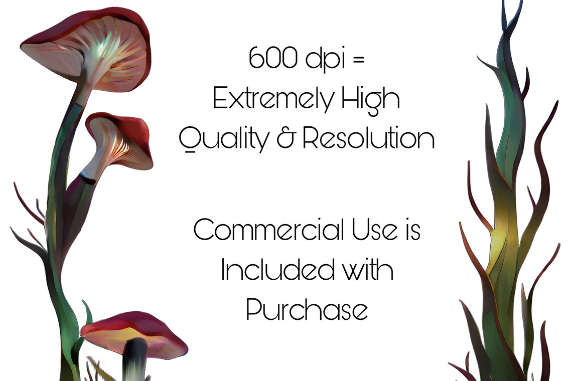 Mushroom Borders Clipart Png, Original Elegant Mushroom Frames ...