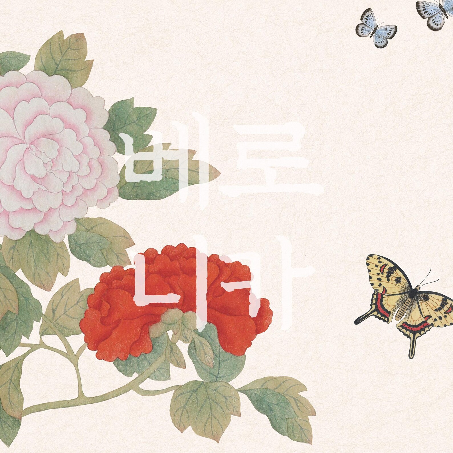 Korean Backdrop, Korean Party Banner - Etsy