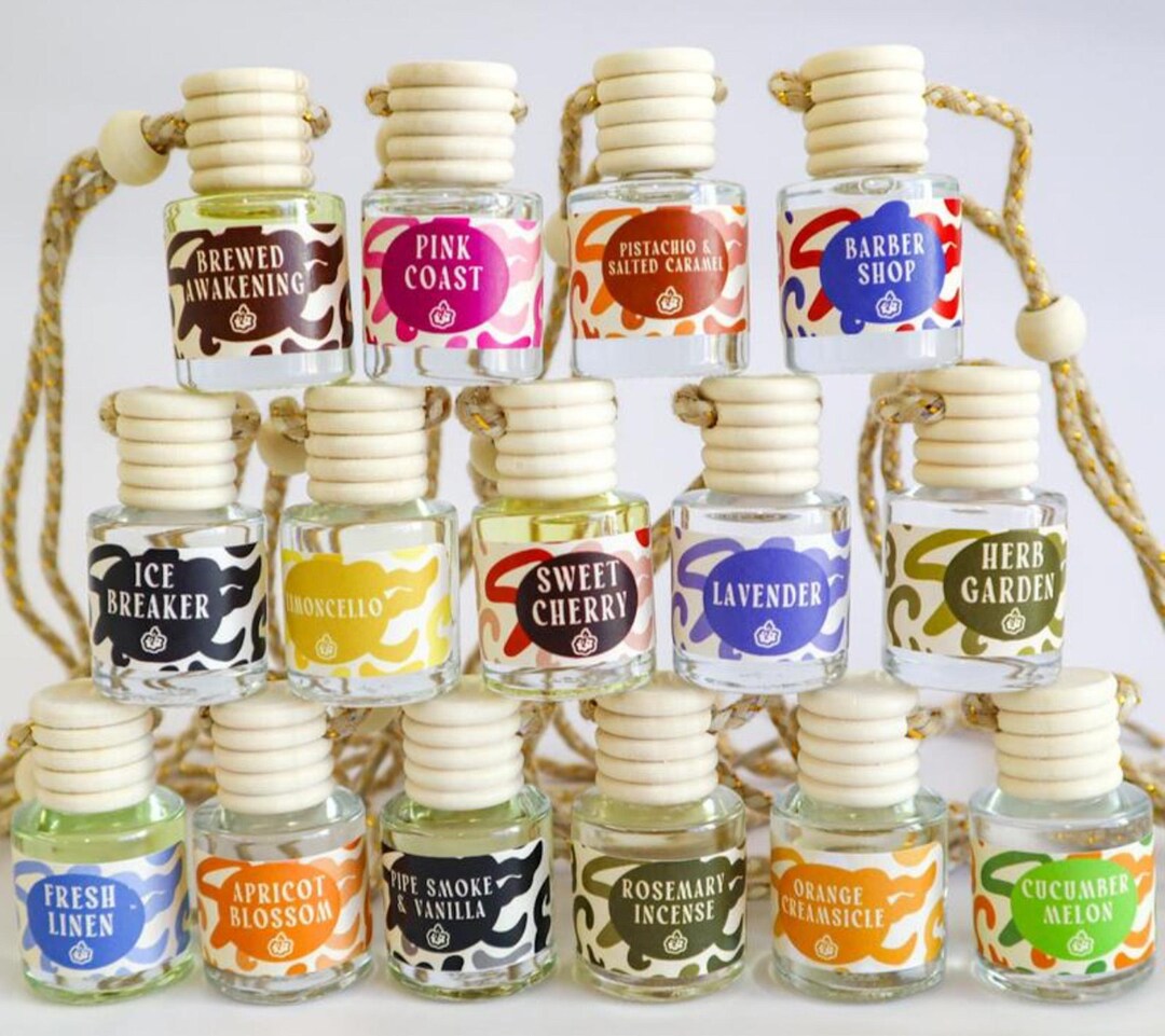 Scented Car Air Freshener Diffusers | Reusable Car Air Fragrance Last ...